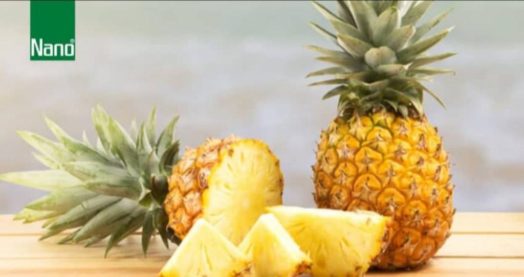 Nano Foods Limited Opens its Pineapple Processing Factory – Koranteng ...